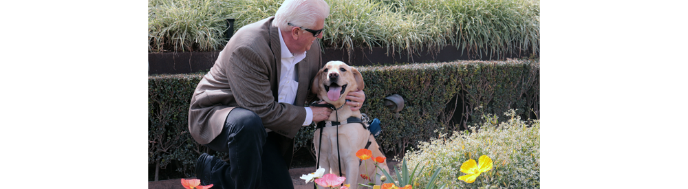 Best Practices When Around a Service Dog - Guide Dogs of America