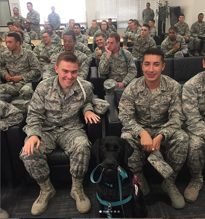 Facility Dogs - Guide Dogs of America