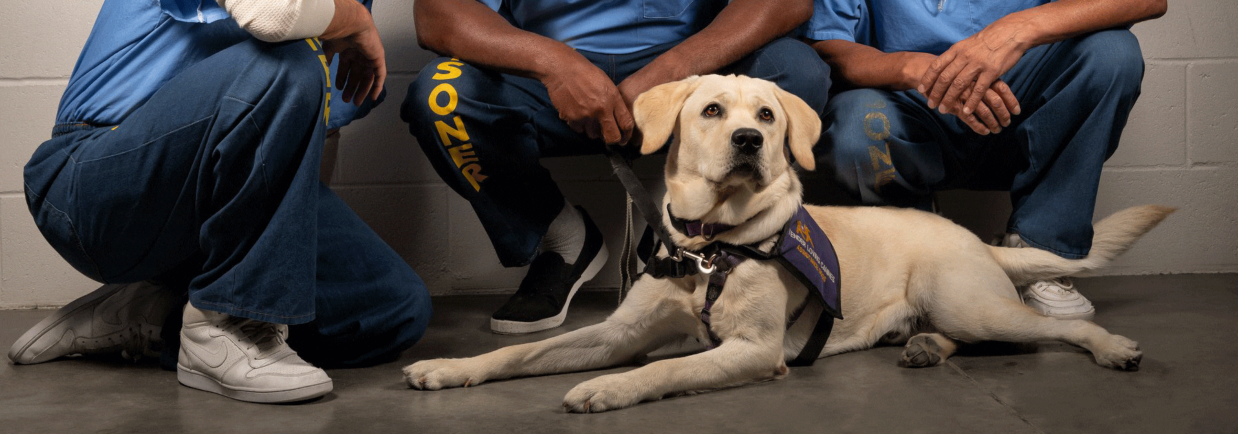 Prison Training Program 2 Guide Dogs Of America