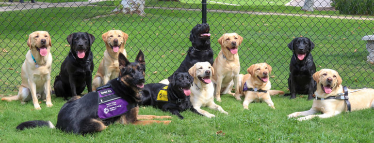 Upcoming Events – Guide Dogs of America
