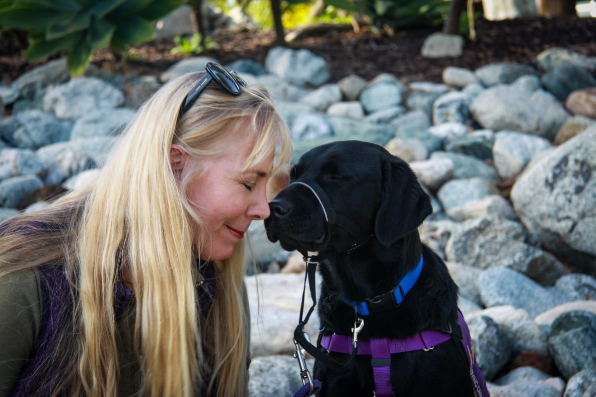National Service Dog Month with Guide Dogs of America - Guide Dogs of ...