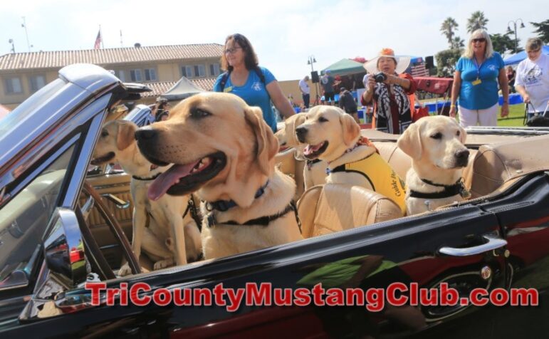 Events from November 4 – June 29, 2024 – Guide Dogs of America