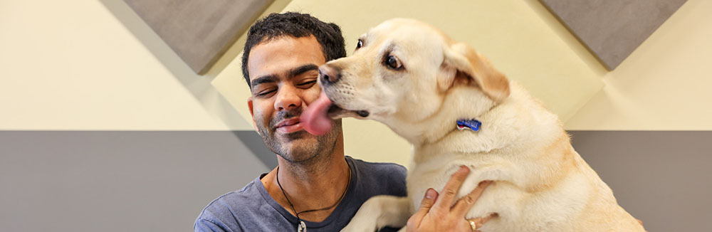 GDA|TLC offers veterinary care for the lifetime of our Service Dog ...