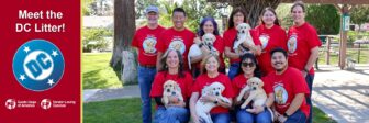 Home - Guide Dogs of America